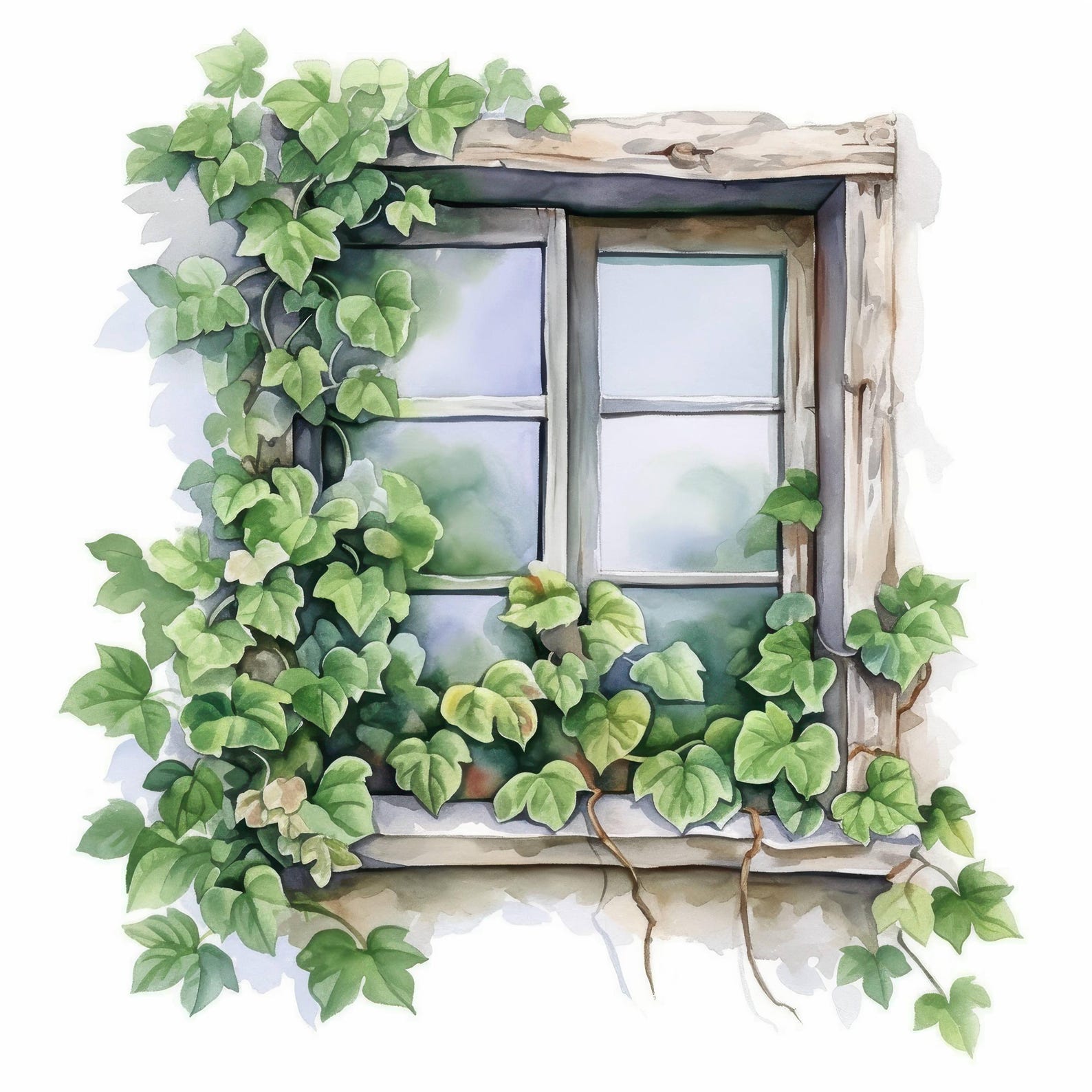 19 Ivy Window Clipart Bundle, Abandoned Window Illustrations, Printable ...