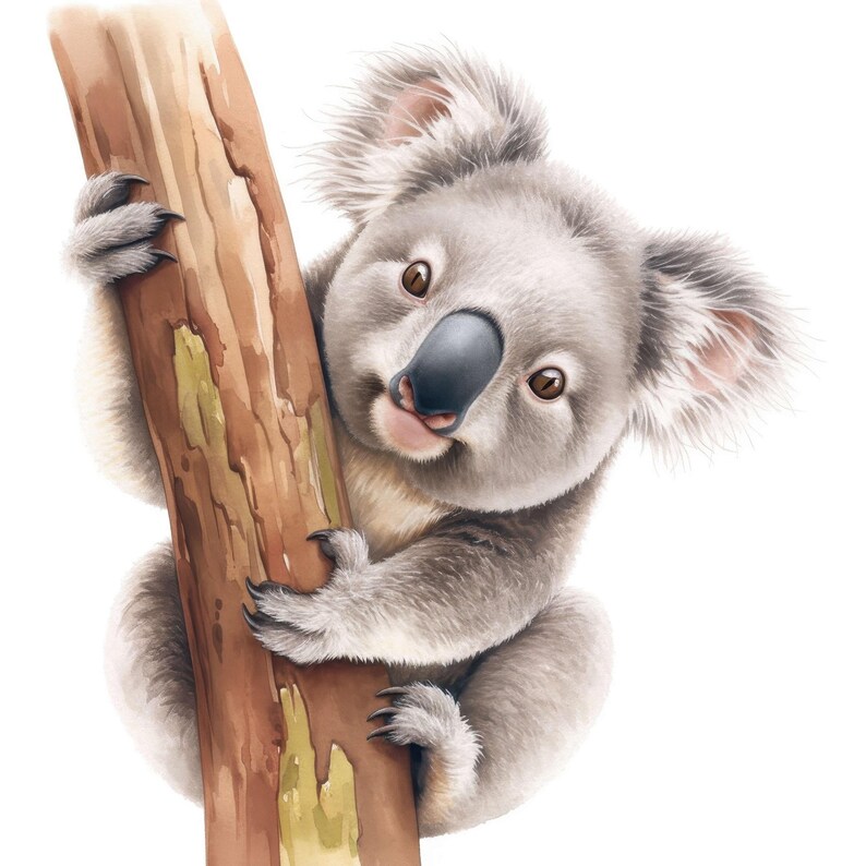 18 Baby Koala Clipart Set, Printable Watercolor Cute Koala Bear Clipart ...