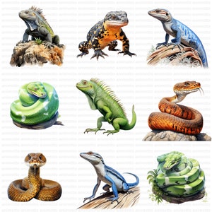 Watercolor Reptiles Clipart | Chameleon, Lizard, Snake, Turtle ...