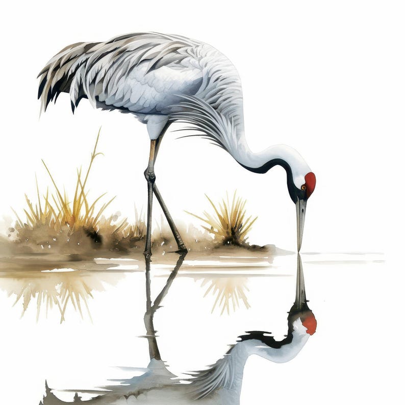 13 Crane in Water Clipart Bundle, Serene Scene Illustrations, Printable ...