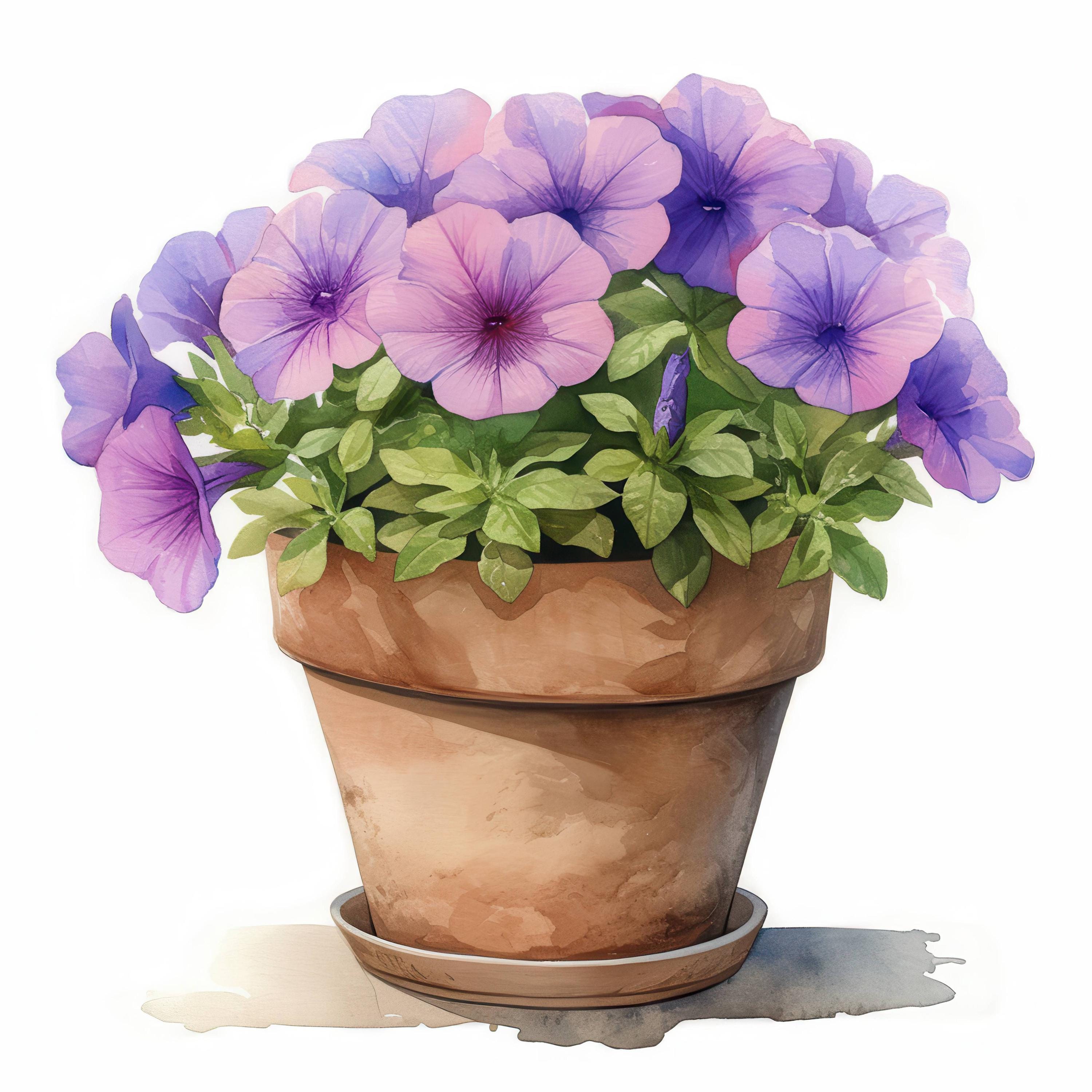12 Delicate Petunia Flowers Clipart Bundle, Printable Watercolor Floral ...