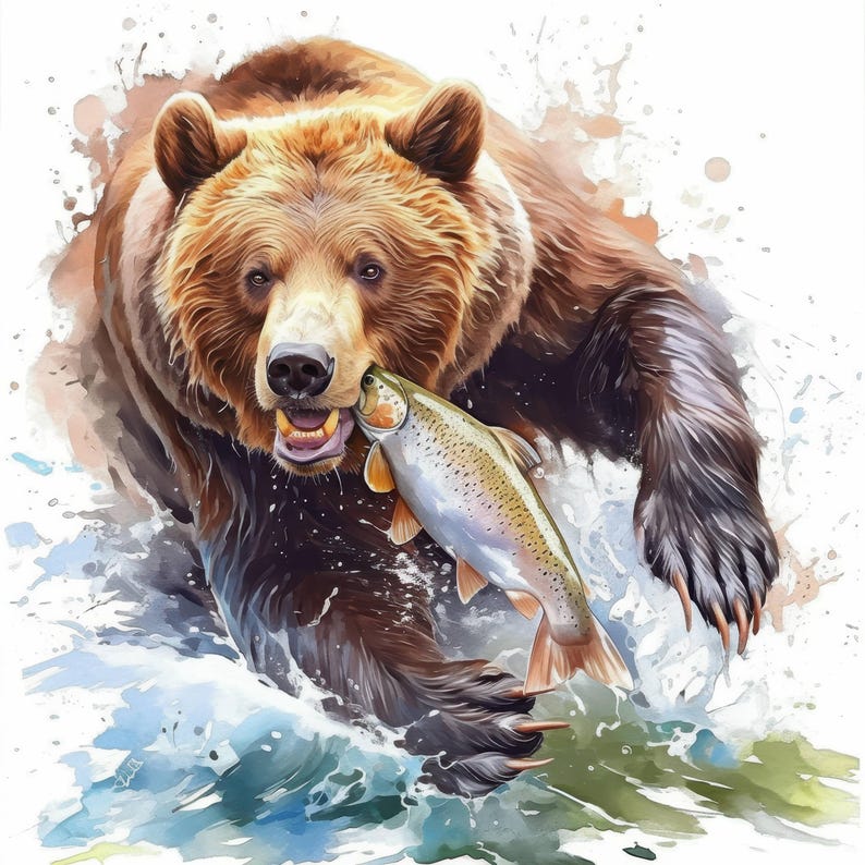 11 Bear Fishing Clipart Bundle, Wildlife Animal Illustrations ...