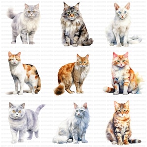 Watercolor Cat Breeds Clipart Bundle, Cute Cats Clipart Set, Kitten PNG ...