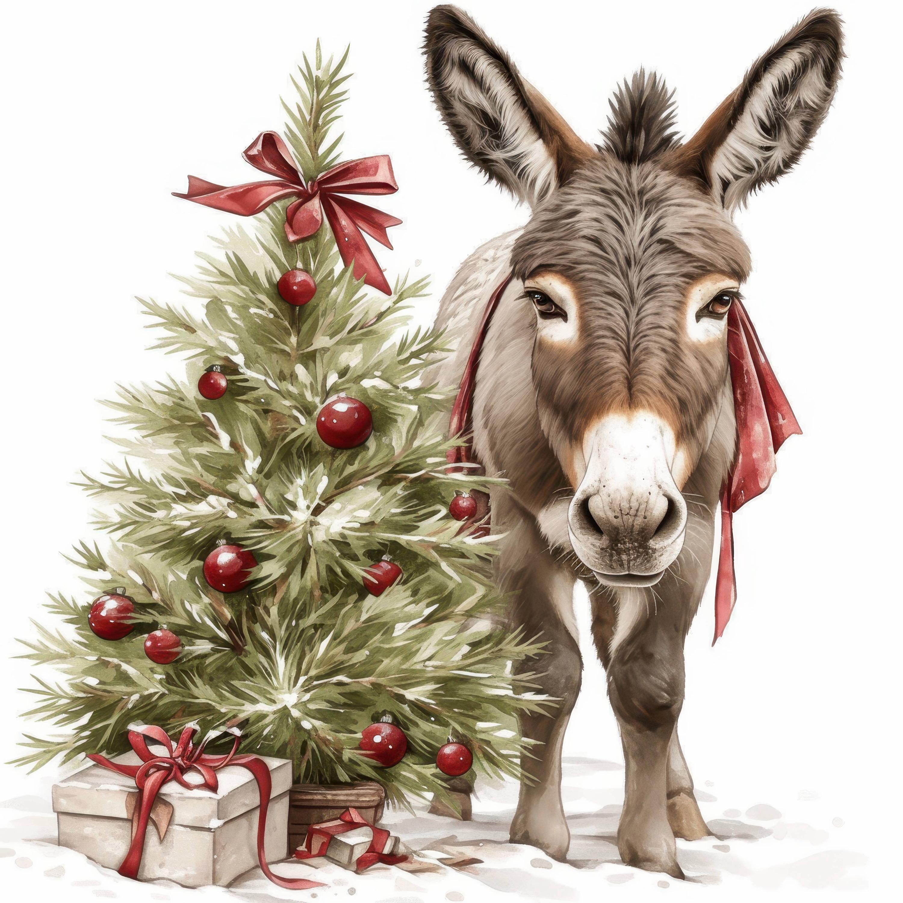 12 Festive Donkey Clipart Bundle, Christmas Donkey Illustration ...