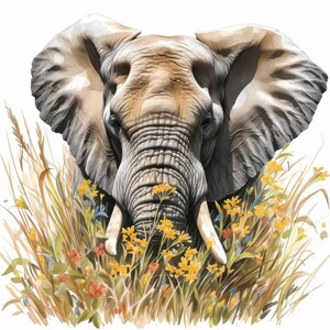 15 Elephant at Safari Clipart Bundle, Printable Watercolor Safari ...