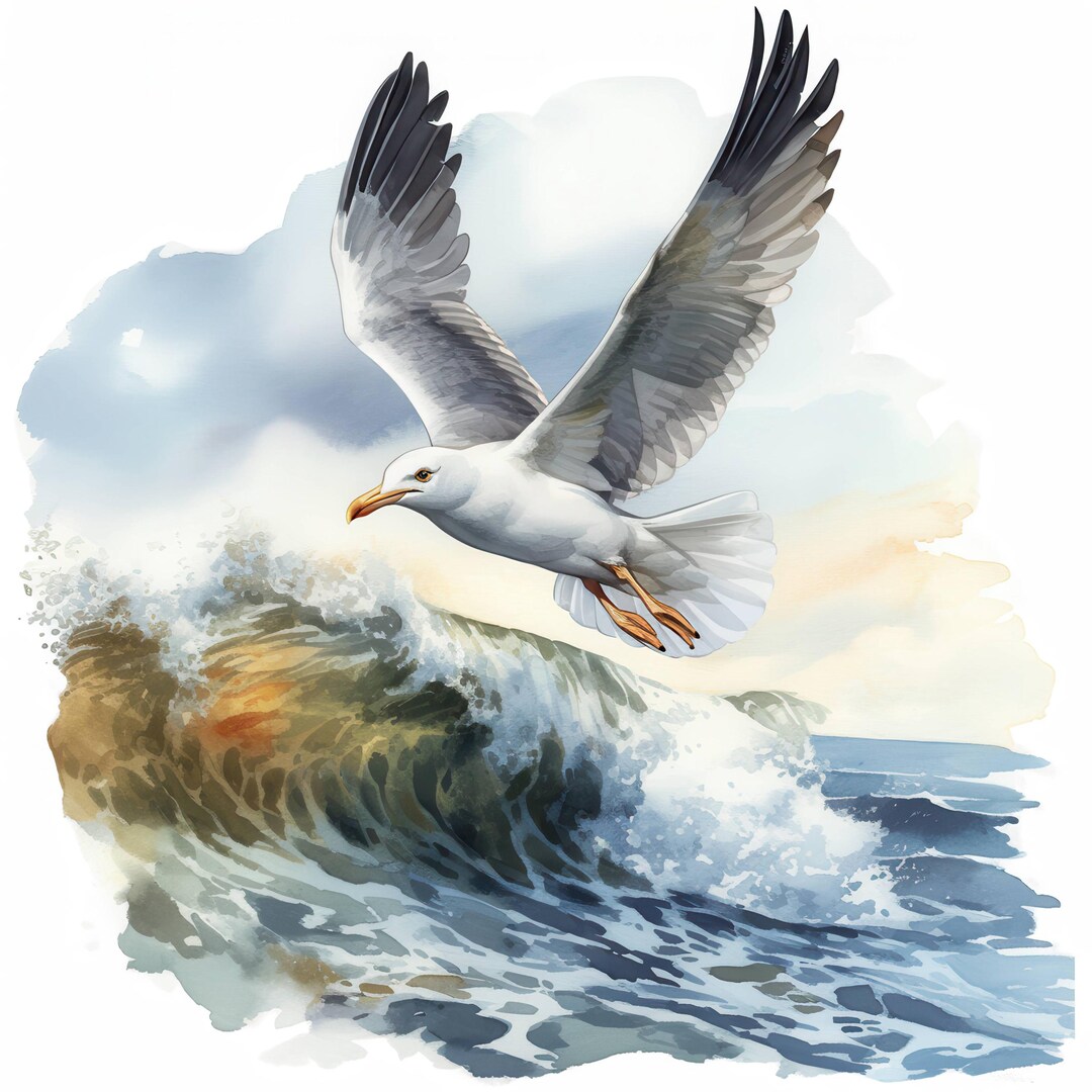 14 Seagull Collection Clipart Bundle, Printable Watercolor Image ...