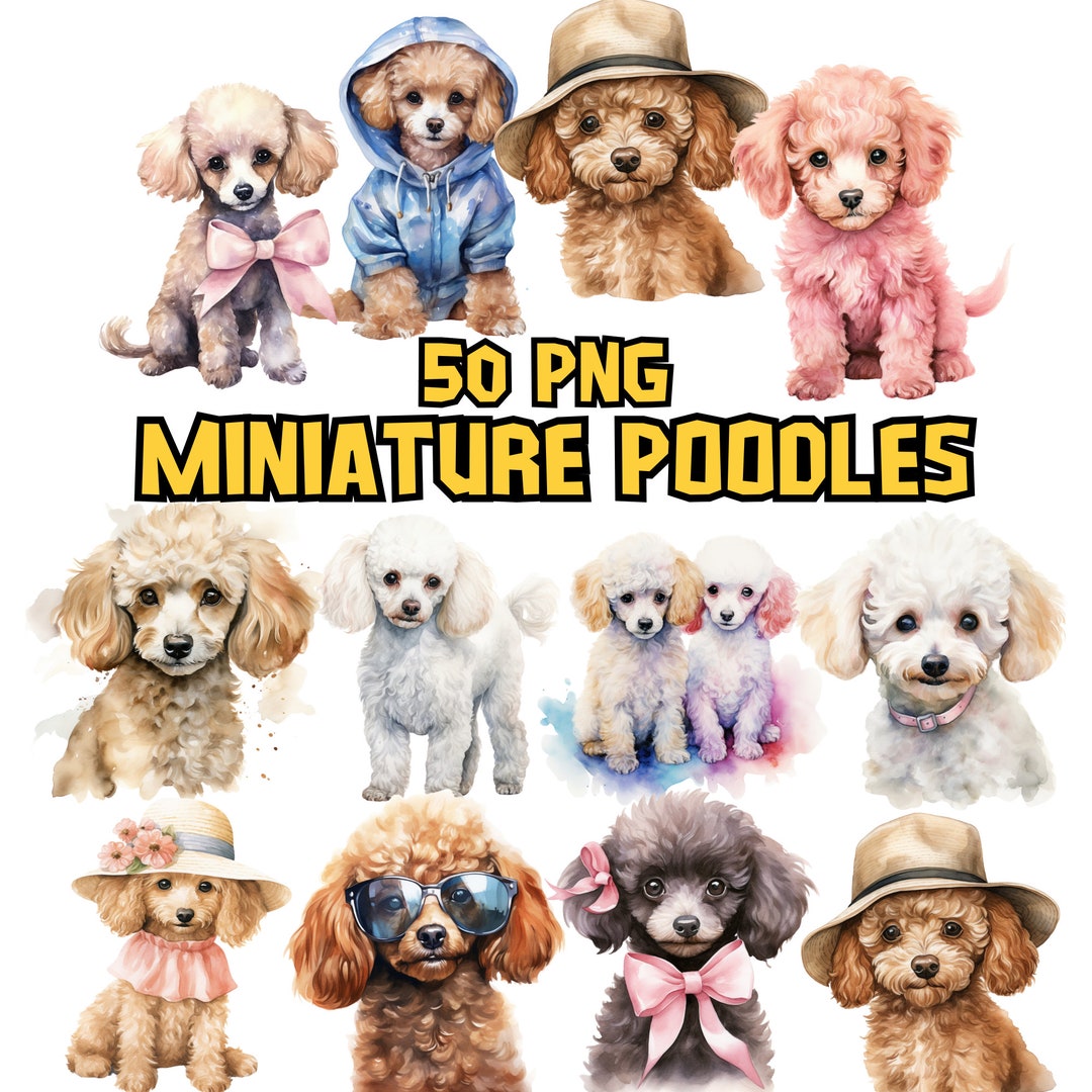 Watercolor Miniature Poodles Clipart Bundle, Cute Dog Image Set, Puppy ...