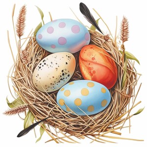 12 Easter Egg Nest Clipart Bundle, Bird Nest Images Illustrations ...