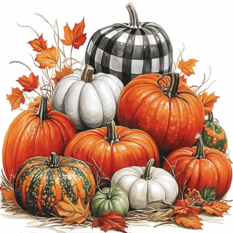 15 Autumn Gourds and Pumpkin Clipart Bundle, Fall Illustrations ...