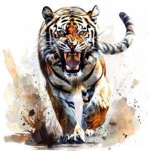 15 Ferocious Tiger Clipart Bundle, Printable Watercolor Animal ...