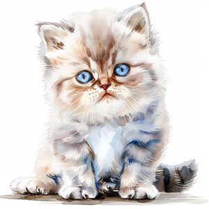 12 Grumpy Sad Kitten Clipart Bundle, Cat Illustrations Graphics ...