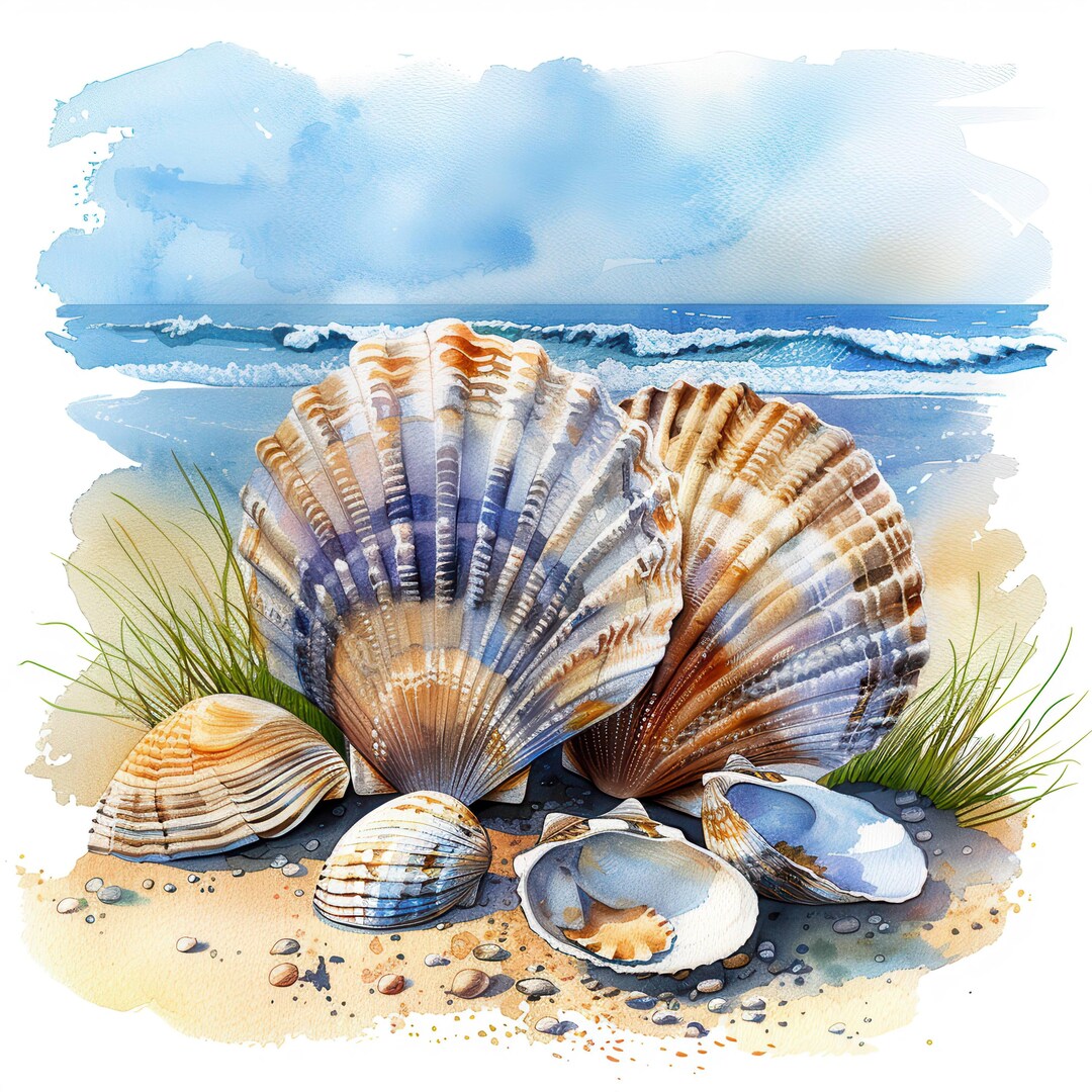 11 Watercolor Seashells and Beach Clipart, Summer Clipart, Nautical ...