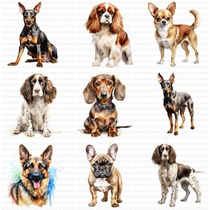 Watercolor Dog Breeds Clipart, Dog Clipart Set, Puppy PNG Graphics ...