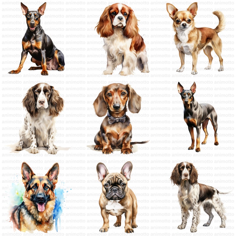 Watercolor Dog Breeds Clipart, Dog Clipart Set, Puppy PNG Graphics ...