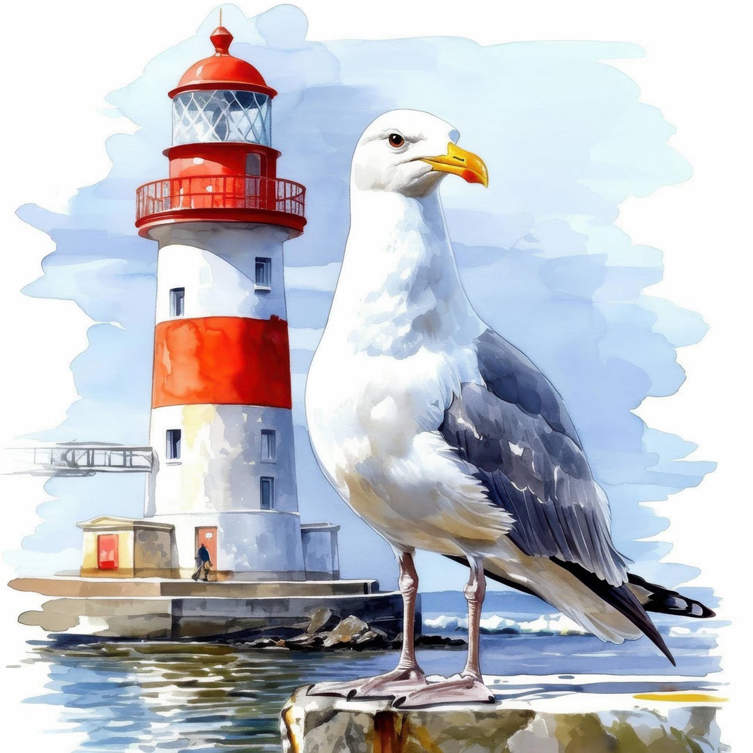 16 Seagull and Lighthouse Clipart Bundle, Coastal Illustrations ...