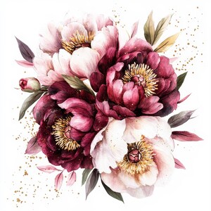 12 Maroon Peonies Clipart Bundle, Maroon Peony Flowers, Watercolor ...