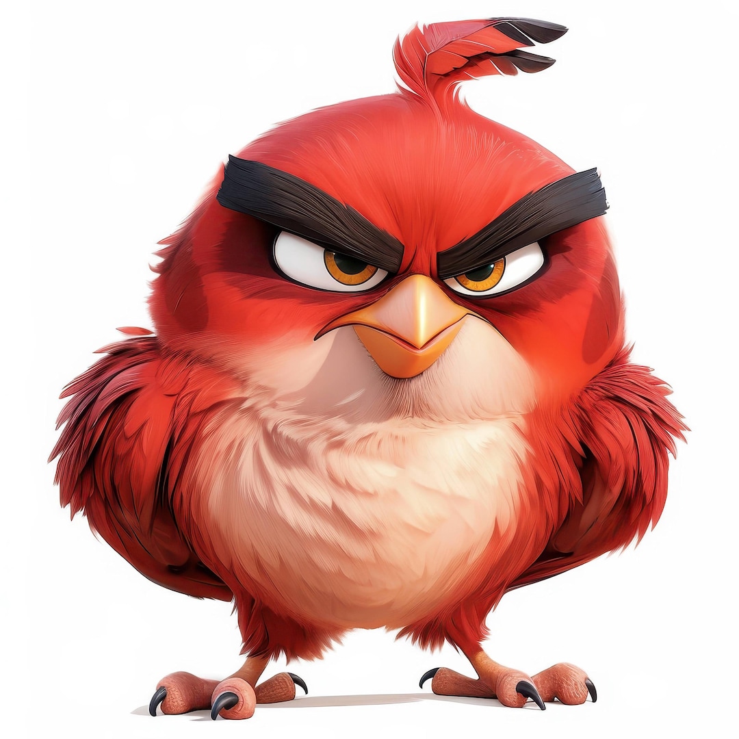 15 3D Grumpy Birds Clipart Bundle, Birds Illustration, Printable ...