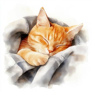 18 Sleeping Kitten Clipart, Cute Cat Clipart, Printable Watercolor ...