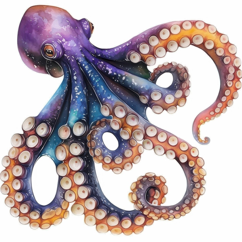 15 Colorful Octopus Clipart Bundle, Ocean Octopus Illustrations ...
