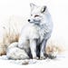 9 Arctic Fox Clipart Bundle, Winter Animal Illustrations, Printable ...