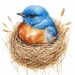 17 Bird Nest Building Clipart Bundle, Bird With Nest Illustration ...