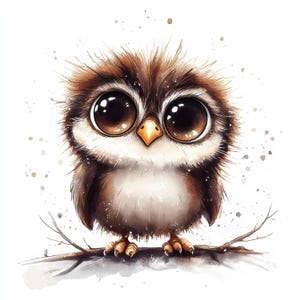 25 Cute Owl Clipart Bundle, Kawaii Owl Clipart, Digital Clipart ...