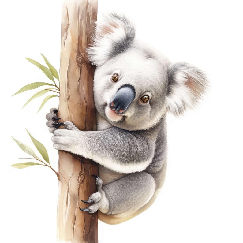 18 Baby Koala Clipart Set, Printable Watercolor Cute Koala Bear Clipart ...