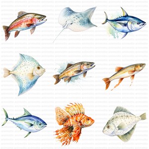 Watercolor Fishes Clipart Bundle Underwater Animals Clipart Set, Sea ...