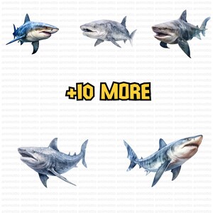 Watercolor Sharks Clipart | Great White Shark, Tiger Shark, Bull Shark ...
