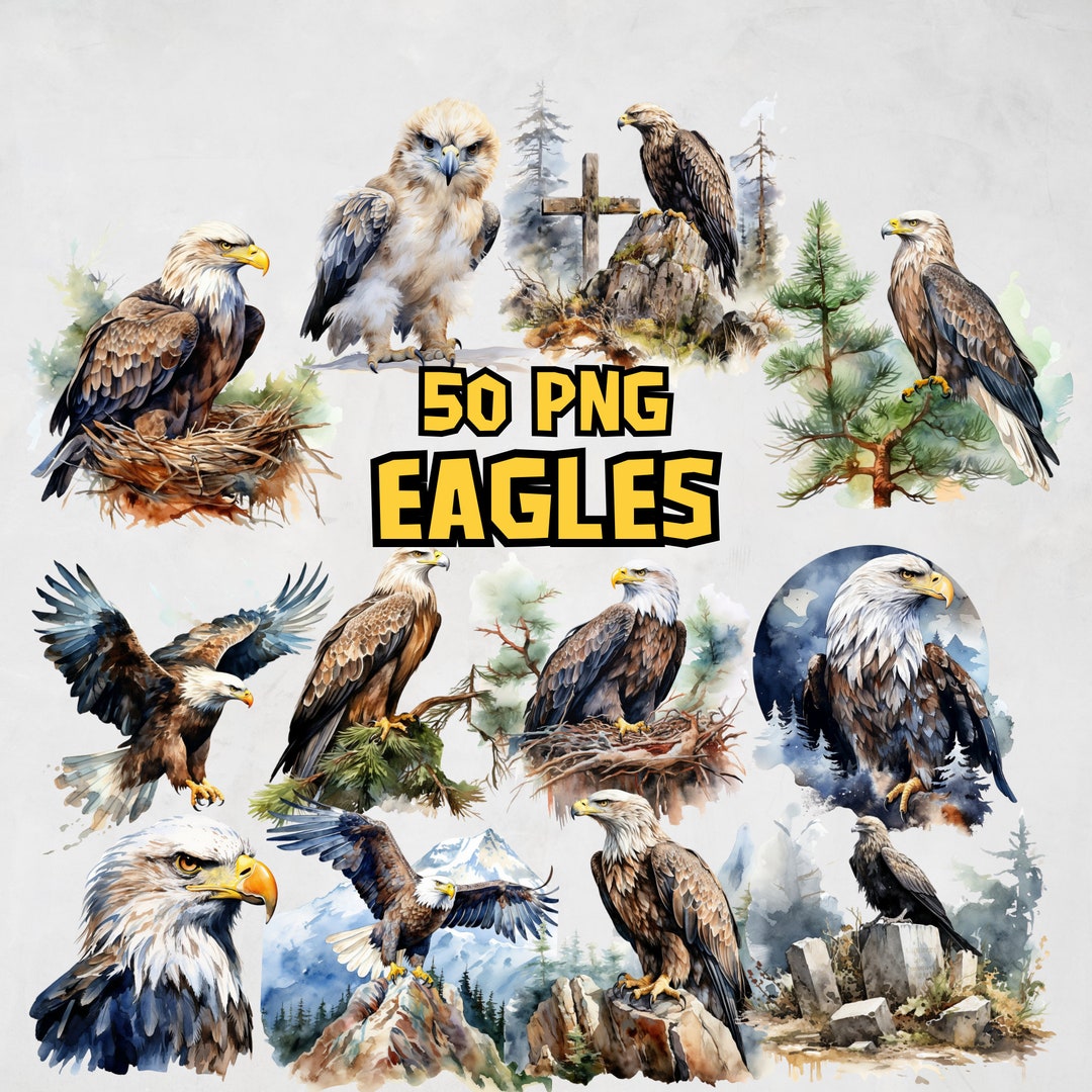 Watercolor Eagles Clipart Bundle,eagle PNG Clipart Set, Bald Eagle ...