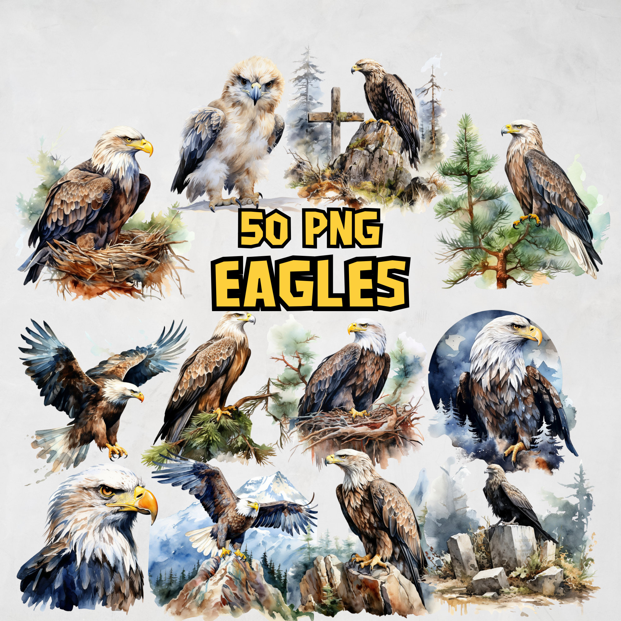 Watercolor Eagles Clipart Bundle,eagle PNG Clipart Set, Bald Eagle ...