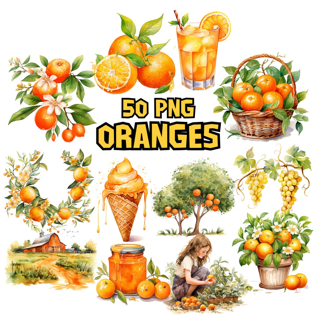 Watercolor Oranges Clipart Bundle Set | 50 Separate Orange Fruit PNG ...