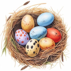 12 Easter Egg Nest Clipart Bundle, Bird Nest Images Illustrations ...