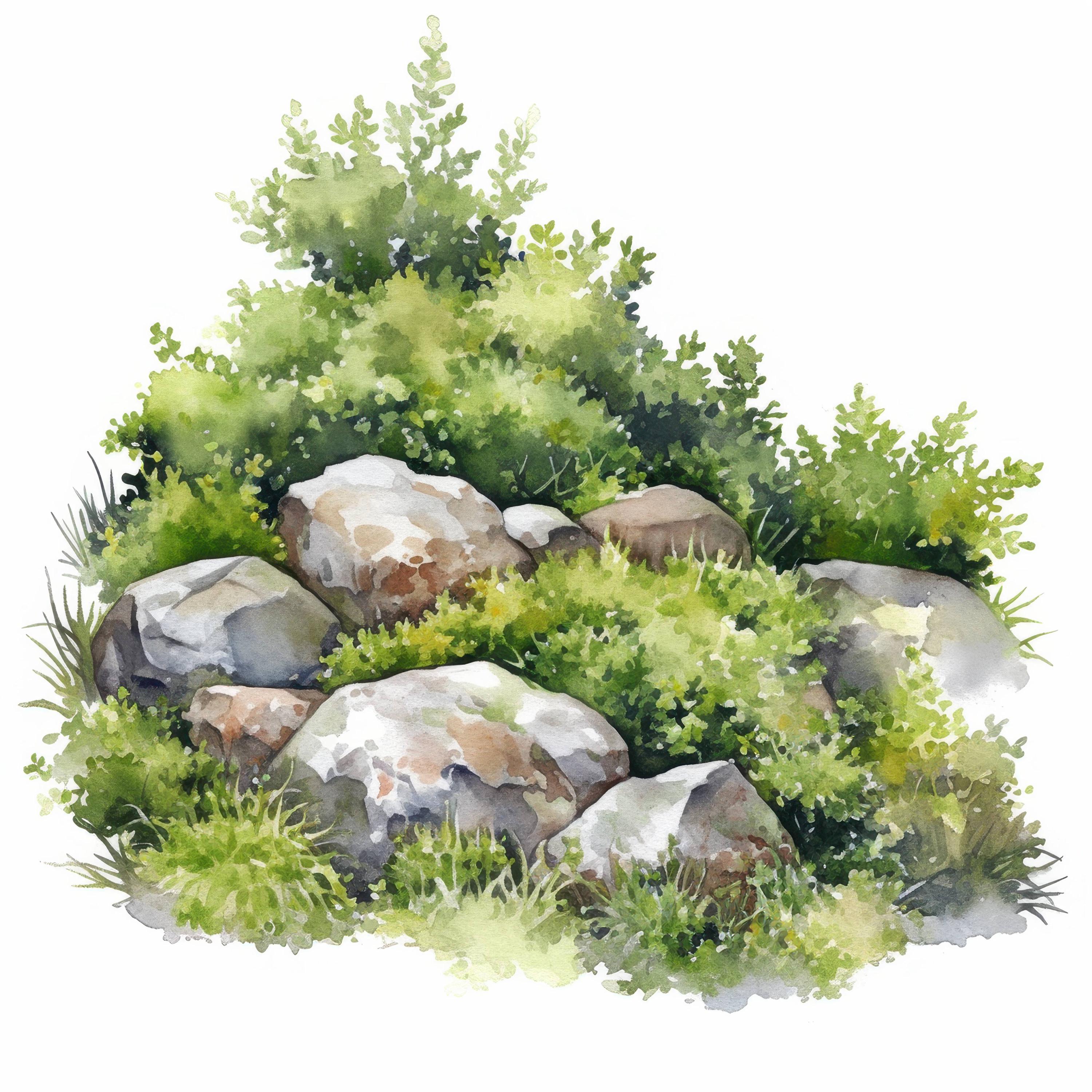 14 Moss Magic Clipart Bundle, Enchanting Nature Illustrations ...