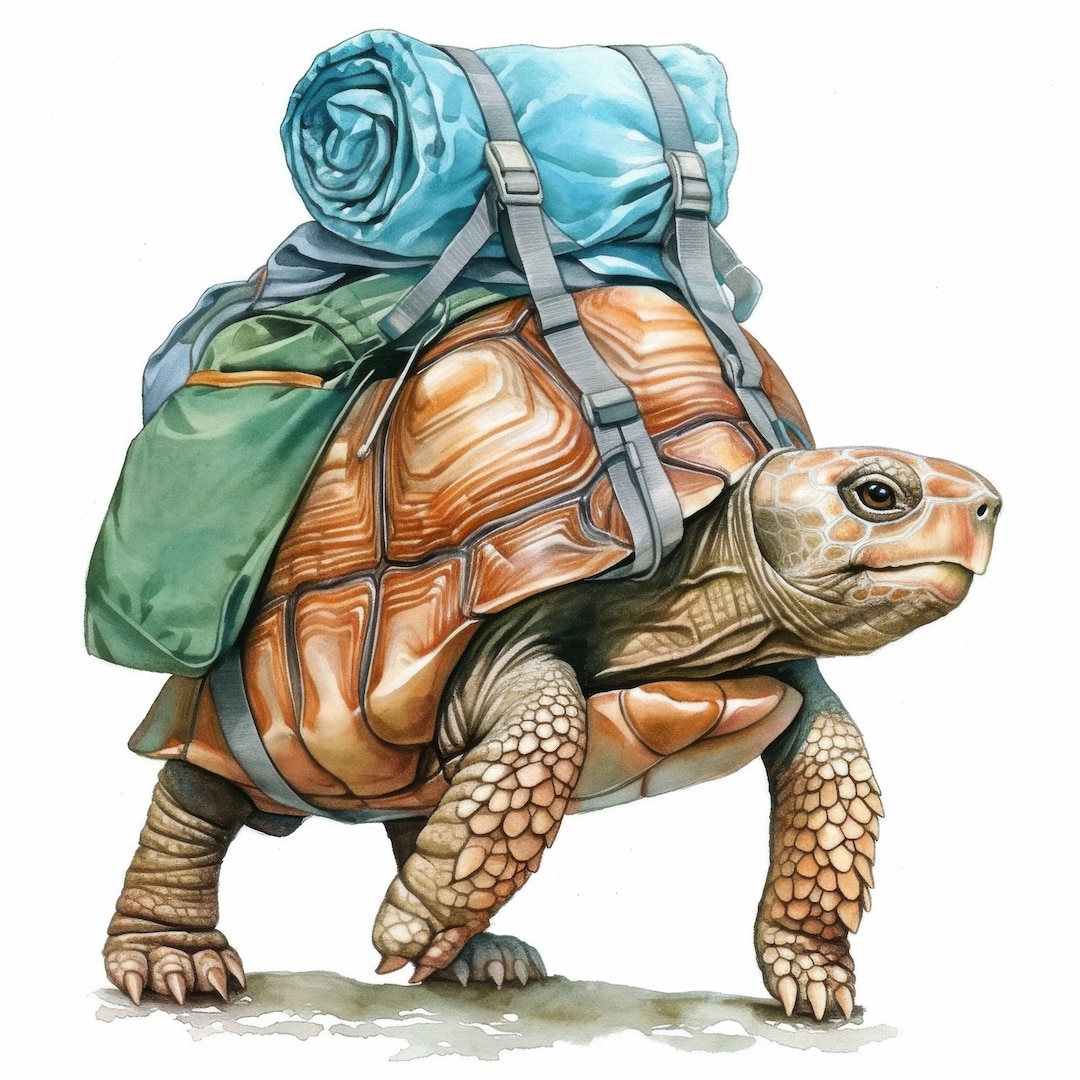 10 Turtle Backpack Clipart Bundle, Whimsical Illustrations, Printable ...