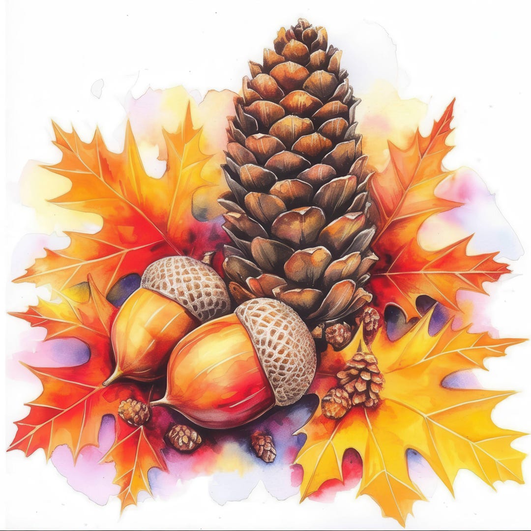 11 Autumn Cone and Corn Clipart Bundle, Fall Cluster Illustration ...