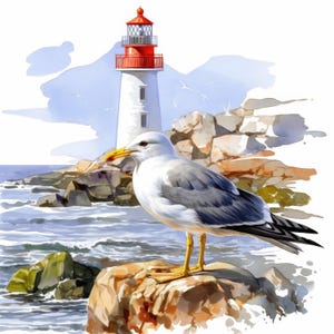 16 Seagull and Lighthouse Clipart Bundle, Coastal Illustrations ...