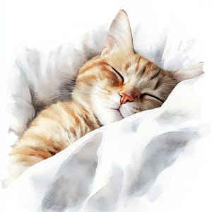 18 Sleeping Kitten Clipart, Cute Cat Clipart, Printable Watercolor ...