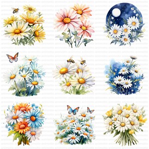 Watercolor Daisies Clipart Bundle, Spring Flower Clipart Set, Floral ...