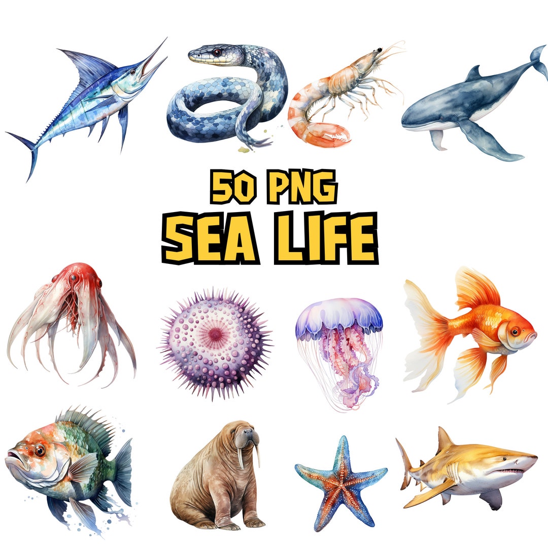 Watercolor Sea Life Clipart | Shark, Fish, Seahorse, Penguin Jellyfish ...