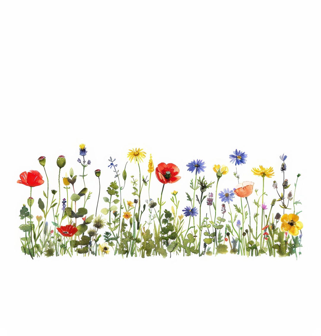 14 Wildflowers Border Clipart Bundle, Digital Clipart, Watercolor ...