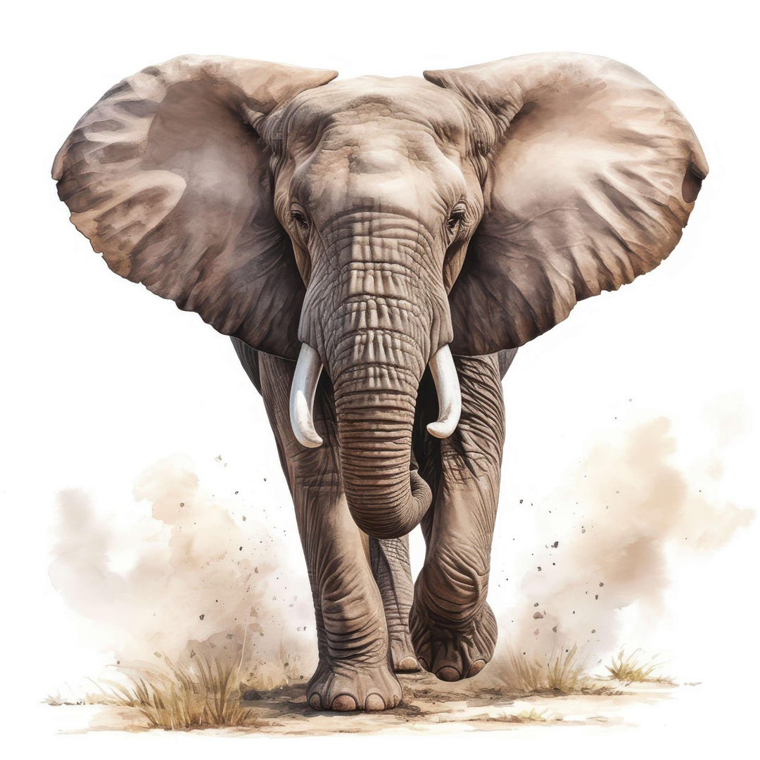 19 Watercolor Elephants Clipart Set, Elephant Illustration, Printable ...