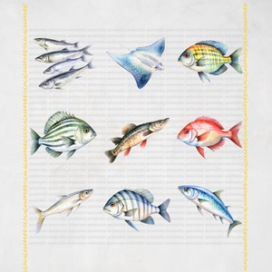 Watercolor Fishes Clipart Bundle Underwater Animals Clipart Set, Sea ...