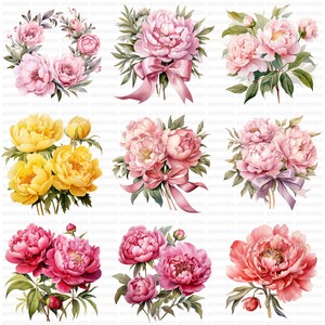 Watercolor Peonies Clipart | Spring Flower, Floral Bouquet, Pink, Red ...