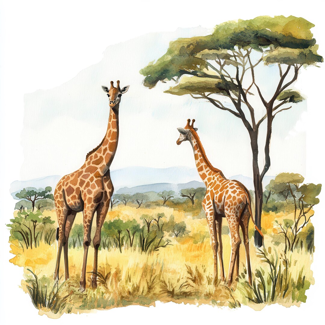 11 African Safari Clipart Bundle, Safari Travel Illustrations ...