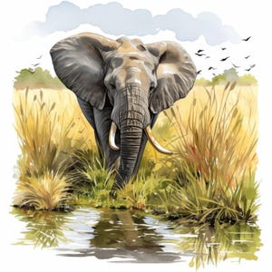 15 Elephant at Safari Clipart Bundle, Printable Watercolor Safari ...