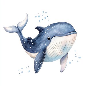 18 Baby Whale Clipart Bundle, Whale Illustration, Printable Watercolor ...