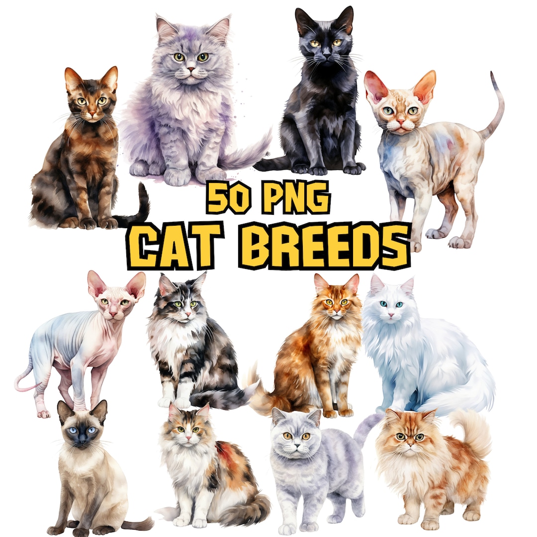 Watercolor Cat Breeds Clipart Bundle, Cute Cats Clipart Set, Kitten PNG ...