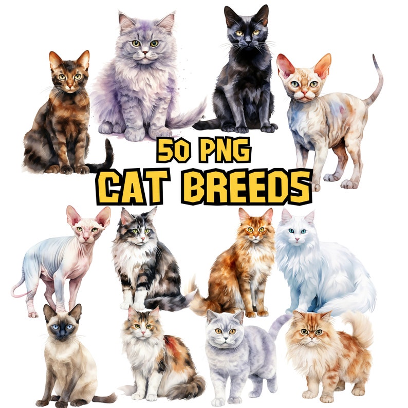 Watercolor Cat Breeds Clipart Bundle, Cute Cats Clipart Set, Kitten PNG ...