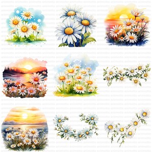 Watercolor Daisies Clipart Bundle, Spring Flower Clipart Set, Floral ...